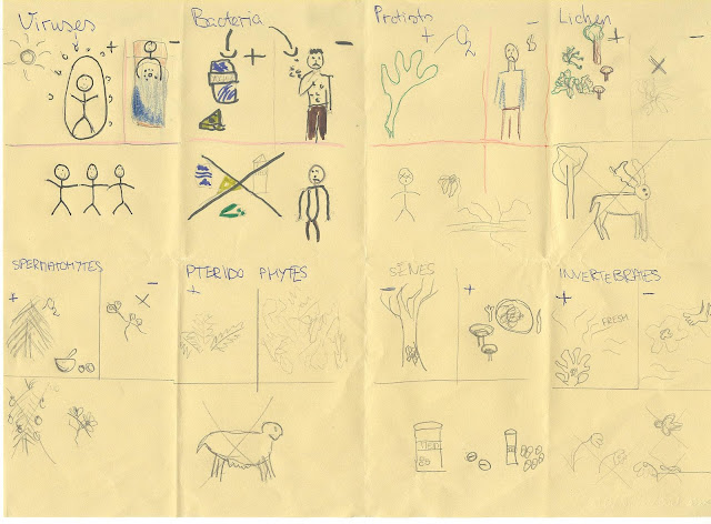 Bioloģiskā daudzveidība: Oto Leons,Dace Goldmane 10.b