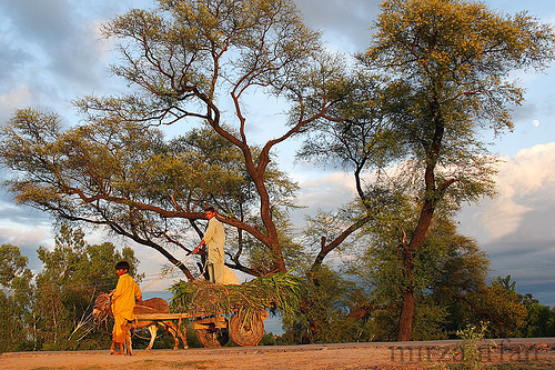 | Village Life | Beauty of Village Life | Childhood and Village Life ...
