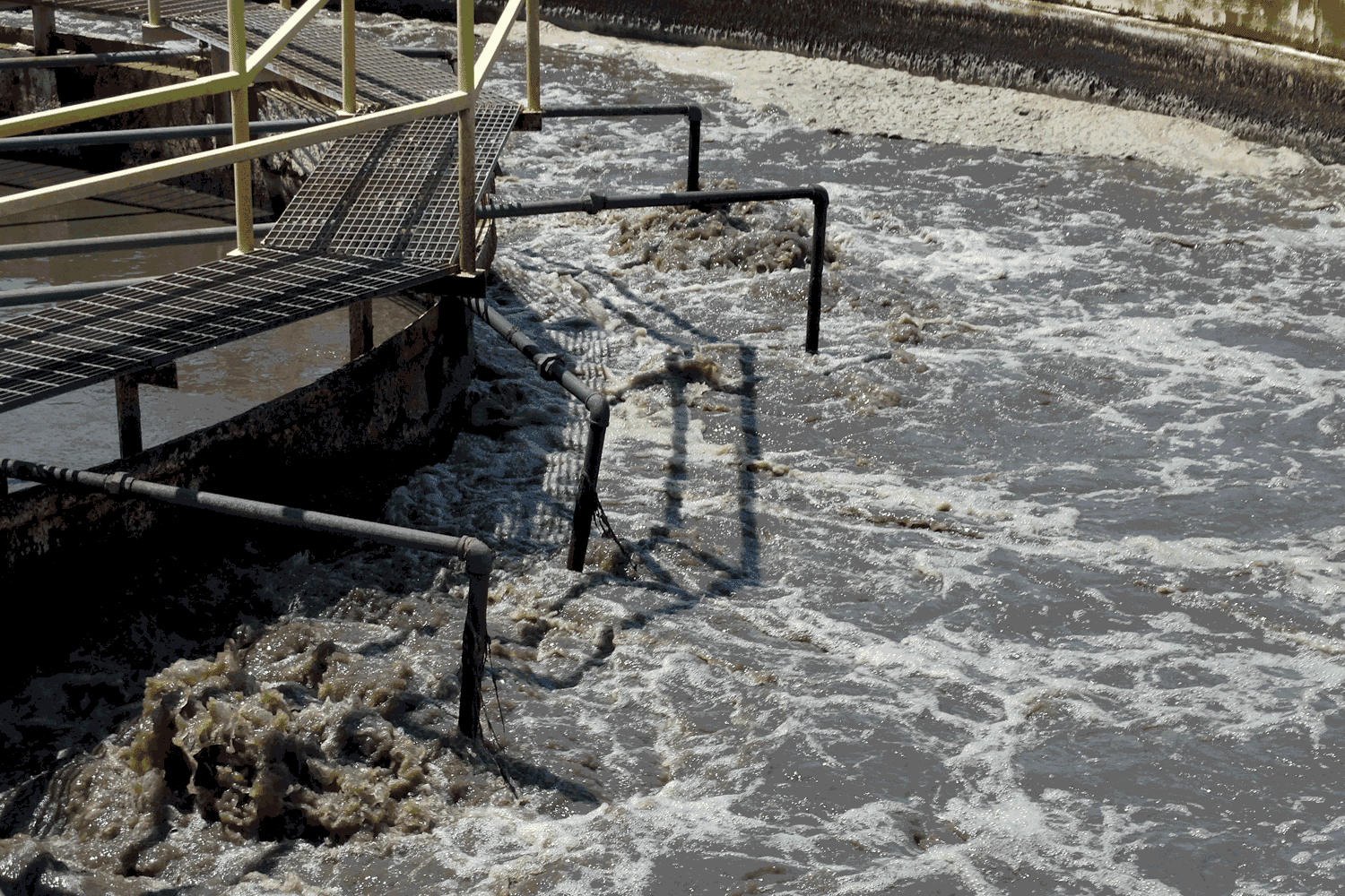 Ecorator Diffuser Seika - Diffuser Ecorator - Indonesia