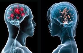 Fundamento de Desarrollo Cognitivo