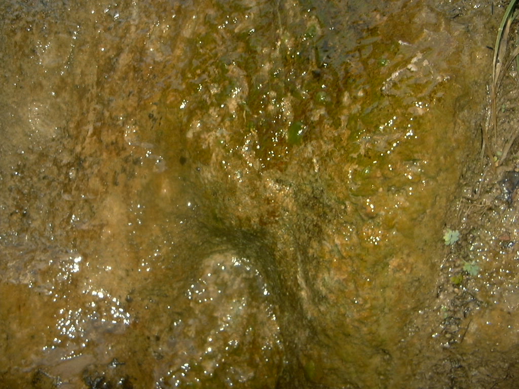 The Pondering Gulch: Frontyard Sense/Backyard Science III