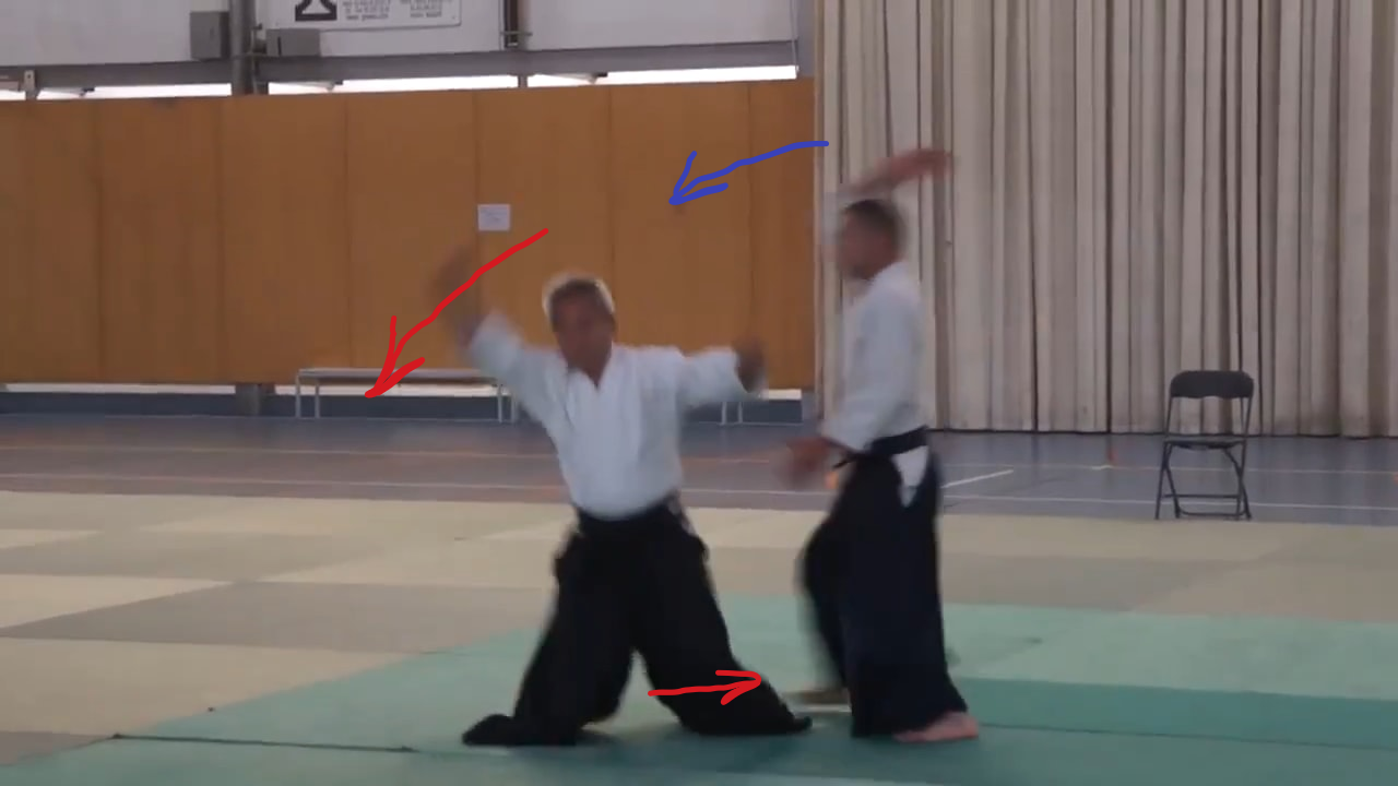 Aikinage Yokomenuchi