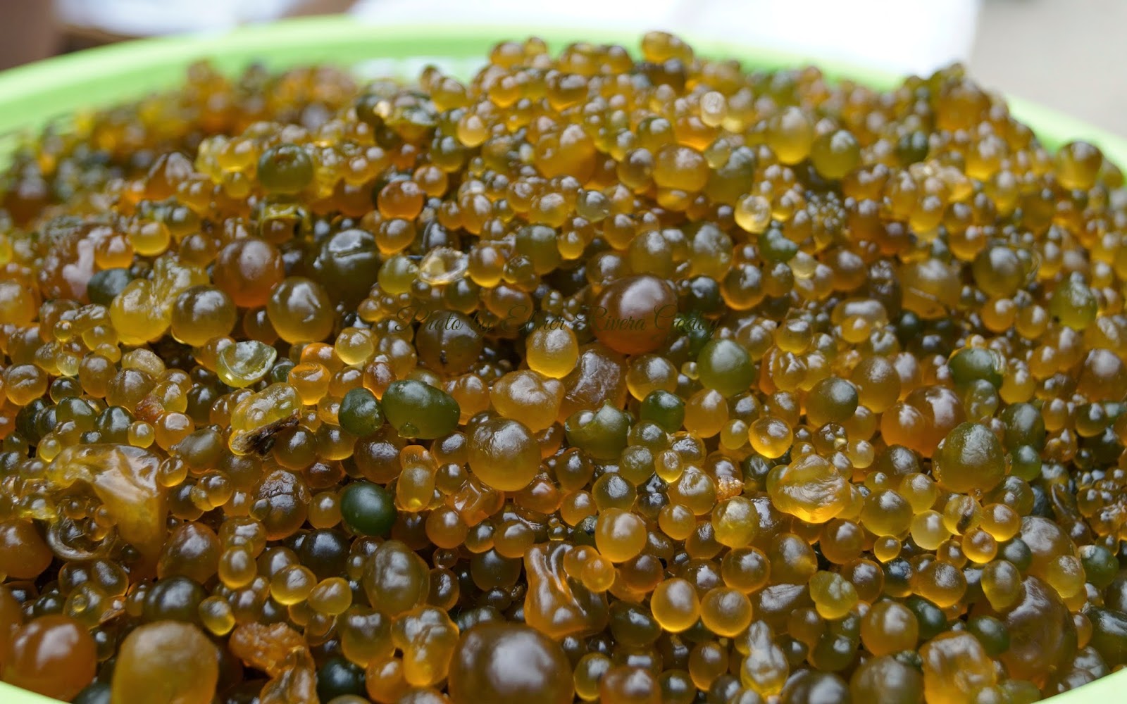 HUÁNUCO FOTOS: 04/01/2015 - 05/01/2015