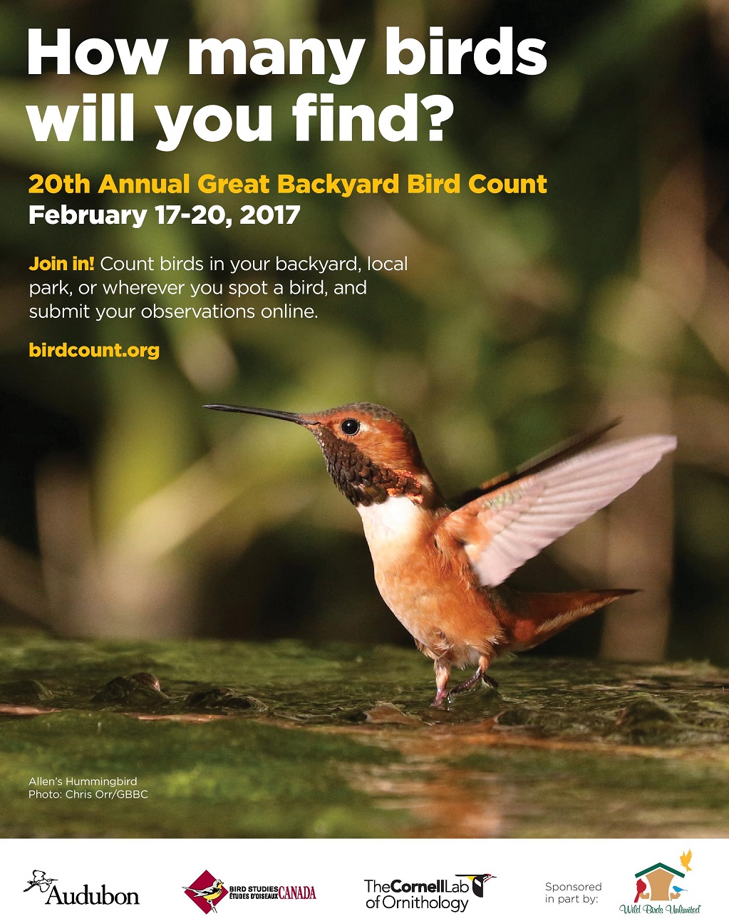 Earth and Space News: 20th Annual Great Backyard Bird Count Begins ...