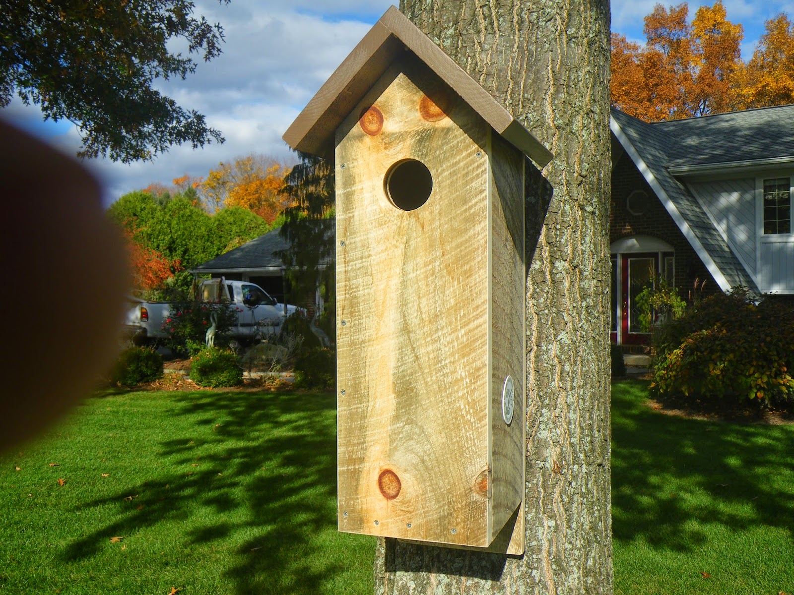 Lycoming Audubon Society: Feeders, Bird and Bat Boxes