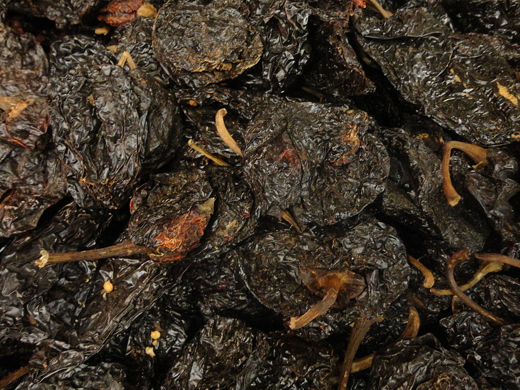 Conoce un poco más sobre el chile poblano – Hotel Star Express