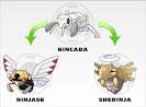 POKEMONS: NINCADA EVOLUÇÃO