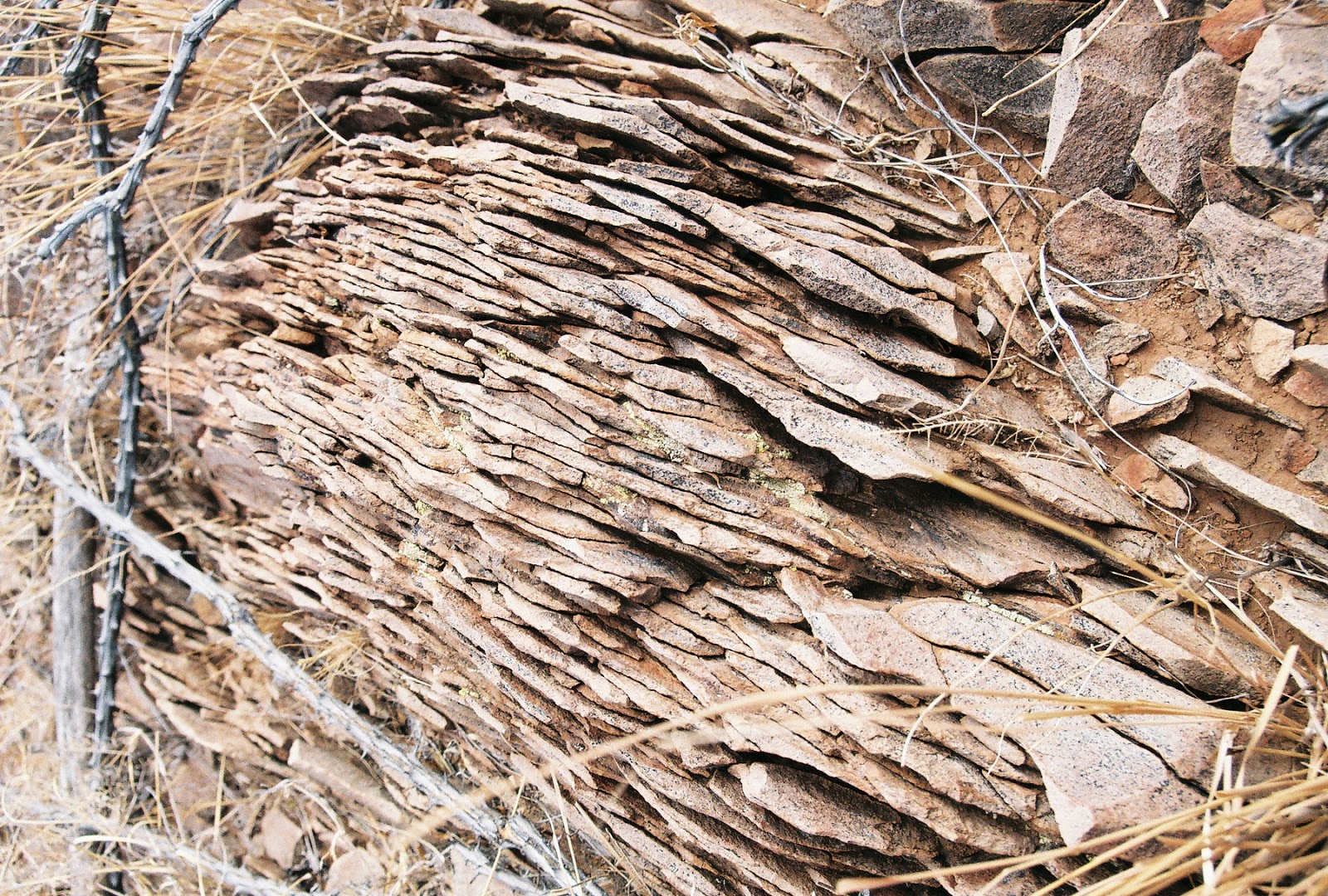 Southern New Mexico Explorer: Mount Riley Wilderness - Cox Peak, Organ ...