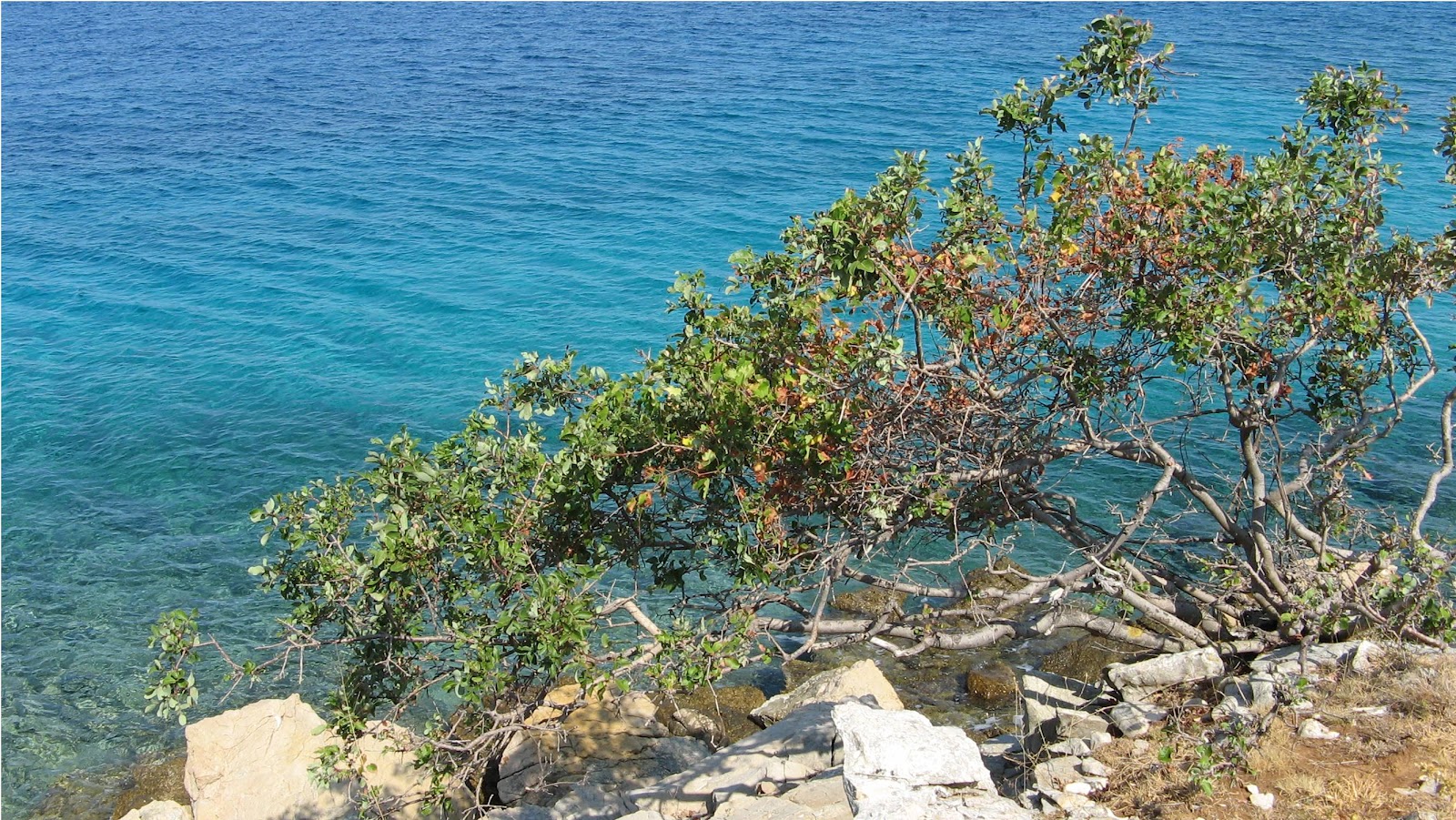 Another Beautiful Day: Island Krk, camp Konobe (Croatia)