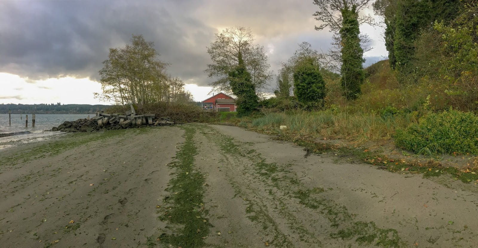 Gravel Beach: Port Gamble