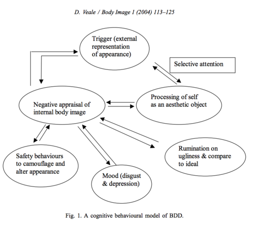 Soma + Dys + Morphe: 2(D) Research Of Leading Scholars