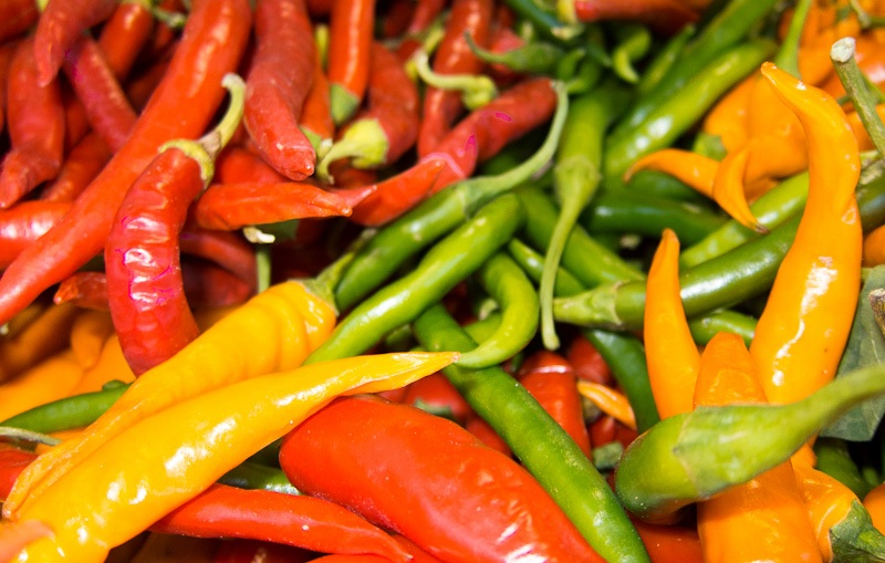 spices, herbs & much more