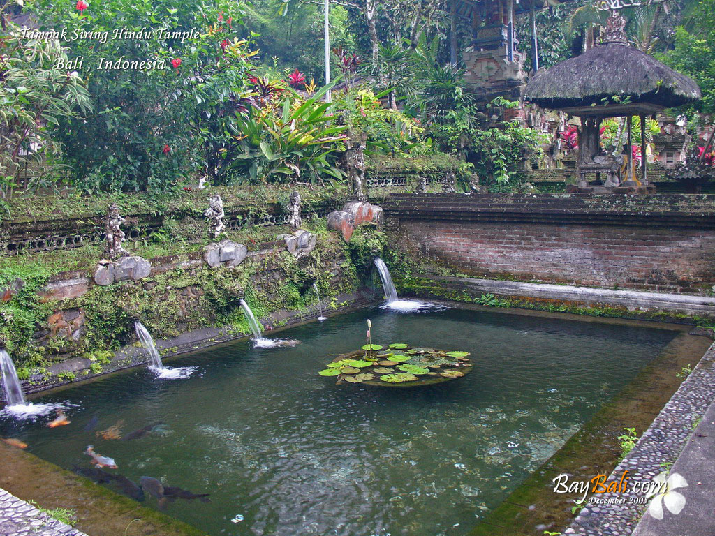 Erwin Travel & Tours Sdn Bhd: BALI TOUR PACKAGE