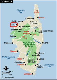 Sea Slug and the Turtle: 2007