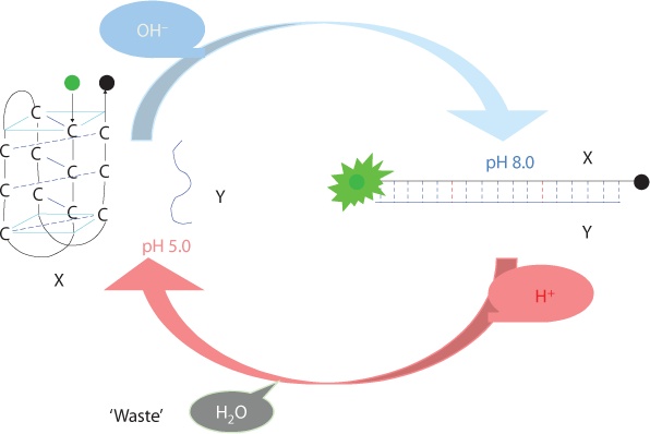 DNA-based switchable devices and materials | NextBigFuture.com