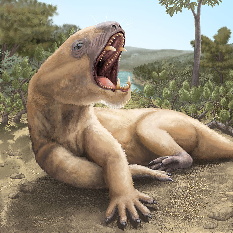 The Dragon's Tales: Once Upon the Permian: Therocephalians, the Near ...