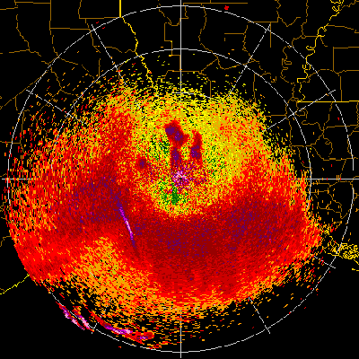SUMMER OF HUMMERS: Radar and bird migration