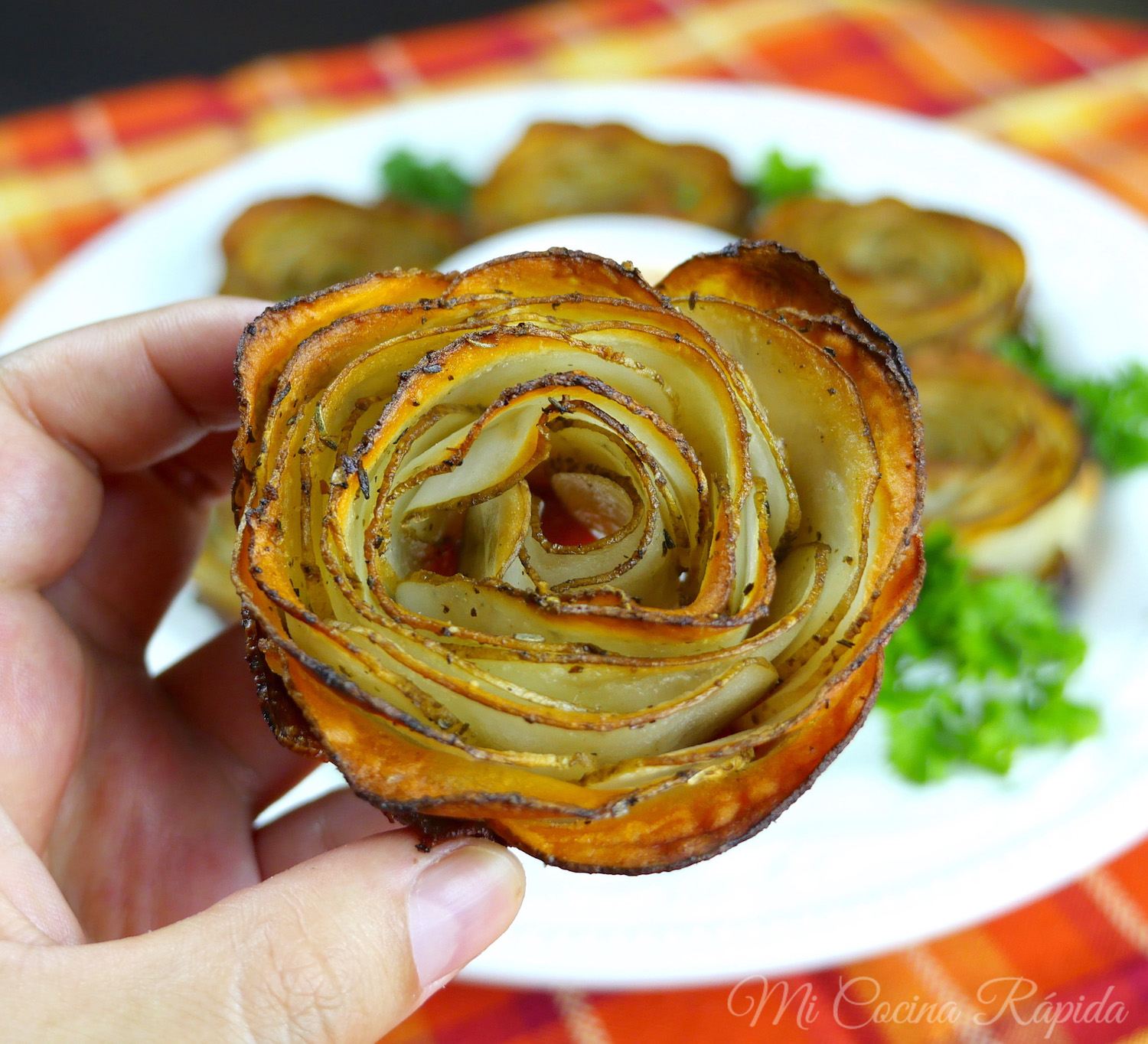 Rosas de Papa y Tocino