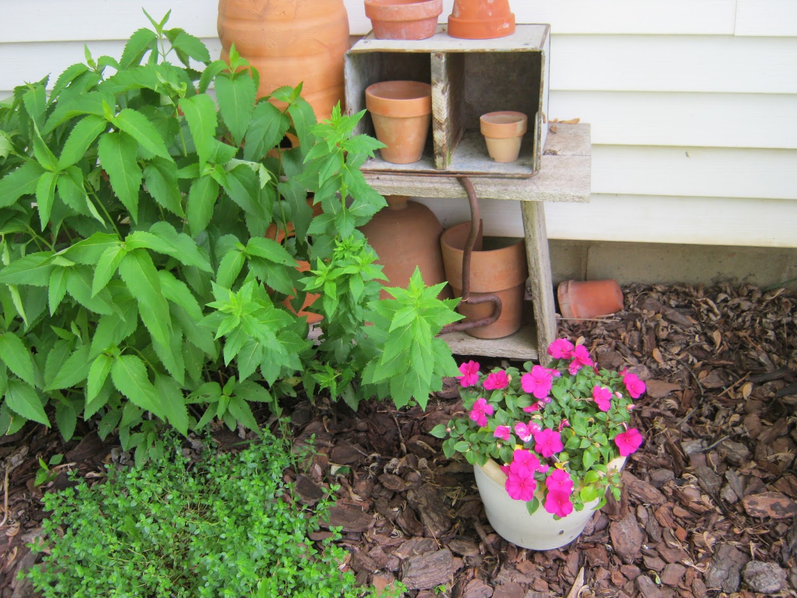 Primitive Passion Decorating: Around our yard today :0)