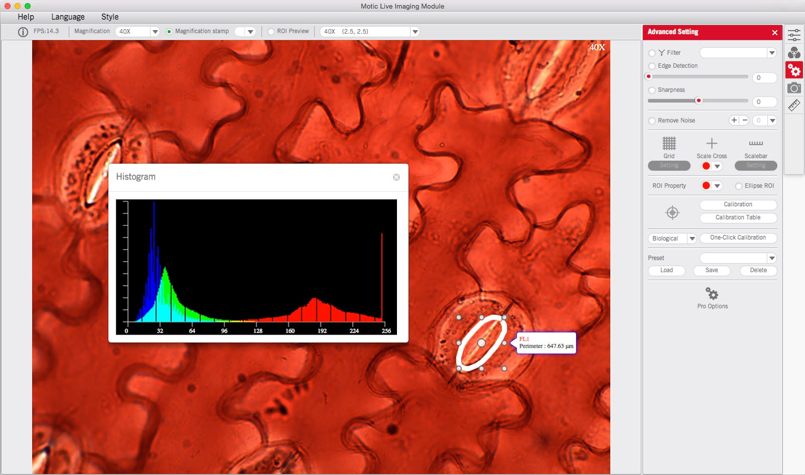 Motic Europe | Blog: Motic Images Plus 3.0 – a fresh approach for a powerful microscopy software