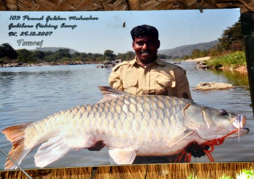 D Heaps fishing adventures: Mahseer fishing Part 1. Karnataka, India ...