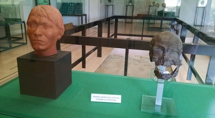 El cuexcomate: El Museo de Tepexpan