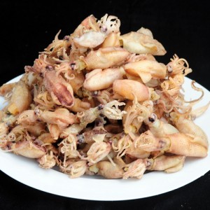 kidstong-Little Science Museum: Intelligent Octopus