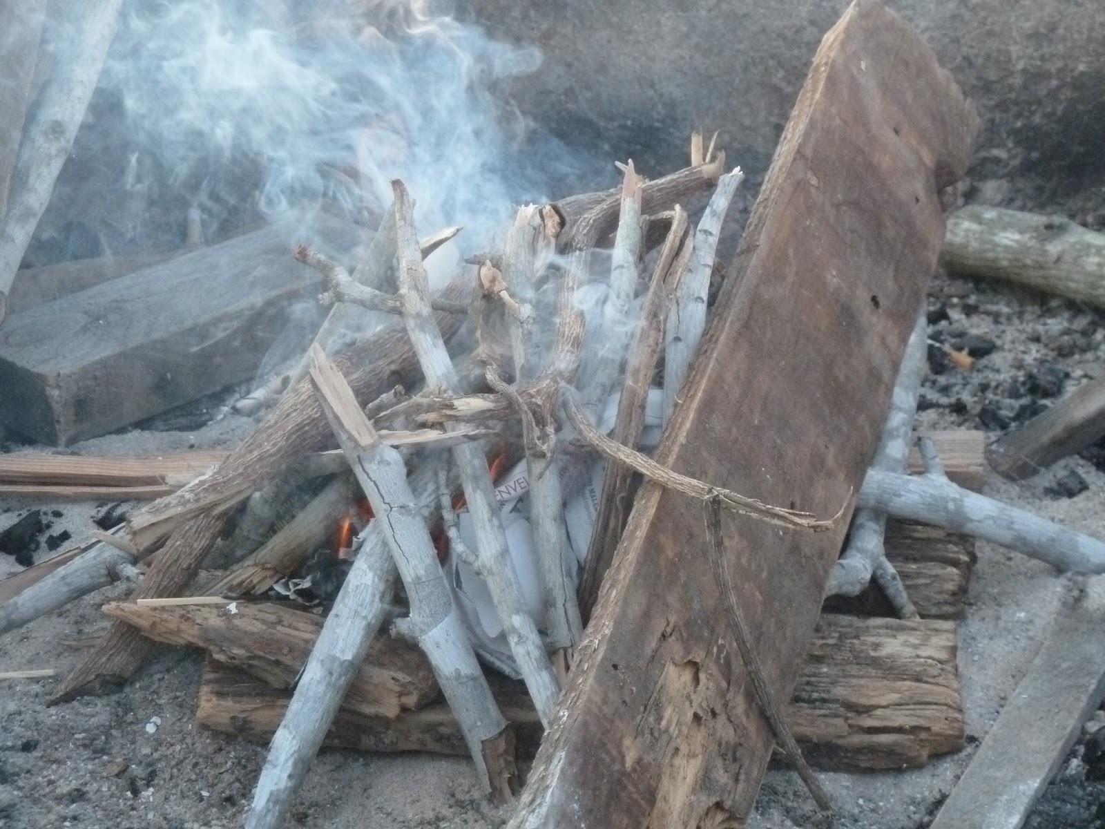 Observations: Bonfire at Moonlight Beach