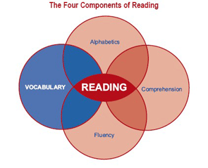 English for Adults: Reading Comprehension exercises