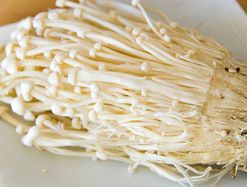 Haris Ristiyanata: macam-macam jamur yang ada di tubuhku :D