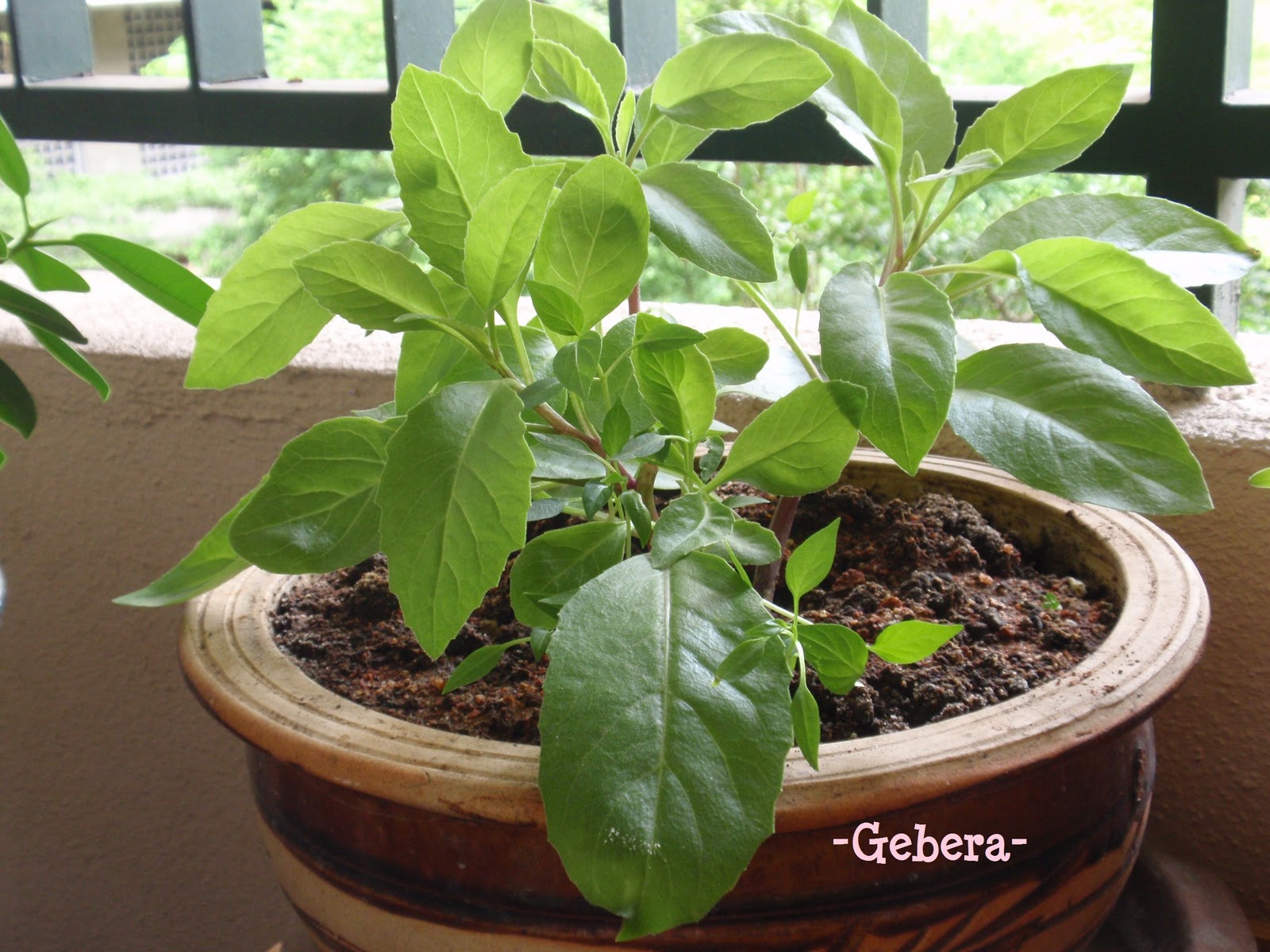 iTs My LiFe..: October 2011