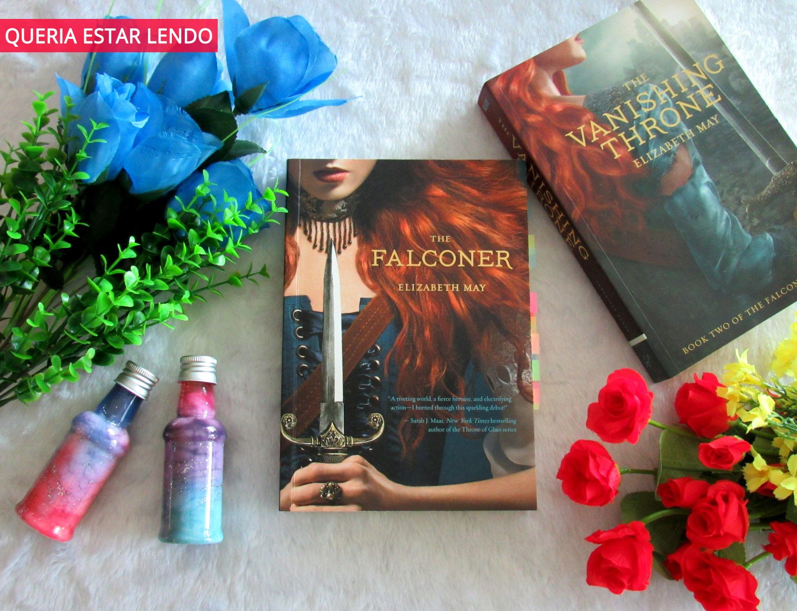 Resenha: The Falconer - Queria Estar Lendo