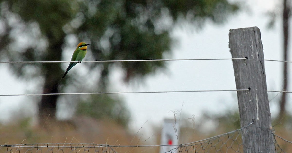 Jarowair - Our Patch