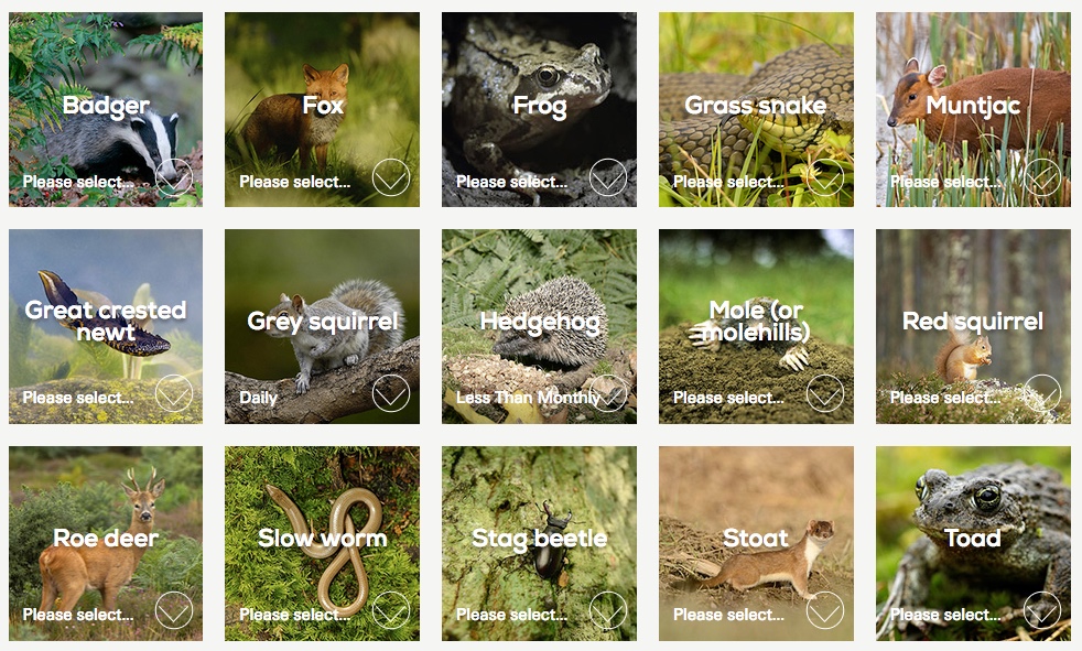 Wild and Wonderful: RSPB Big Garden Birdwatch 2018 - And my top bird is...