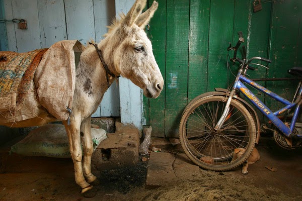 OLTRE IL MURO: ARTE e FOTOGRAFIA: KEVIN GOSS-ROSS | PHOTOGRAPHER