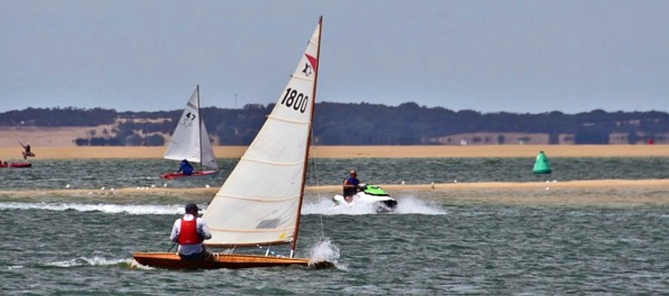 Earwigoagin: Header Photo: The Australian Sailfish; ICWDR 2019