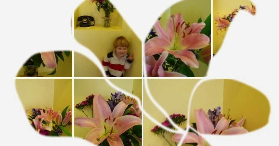 Acting Balanced: Photos of the Week: Lily Collage