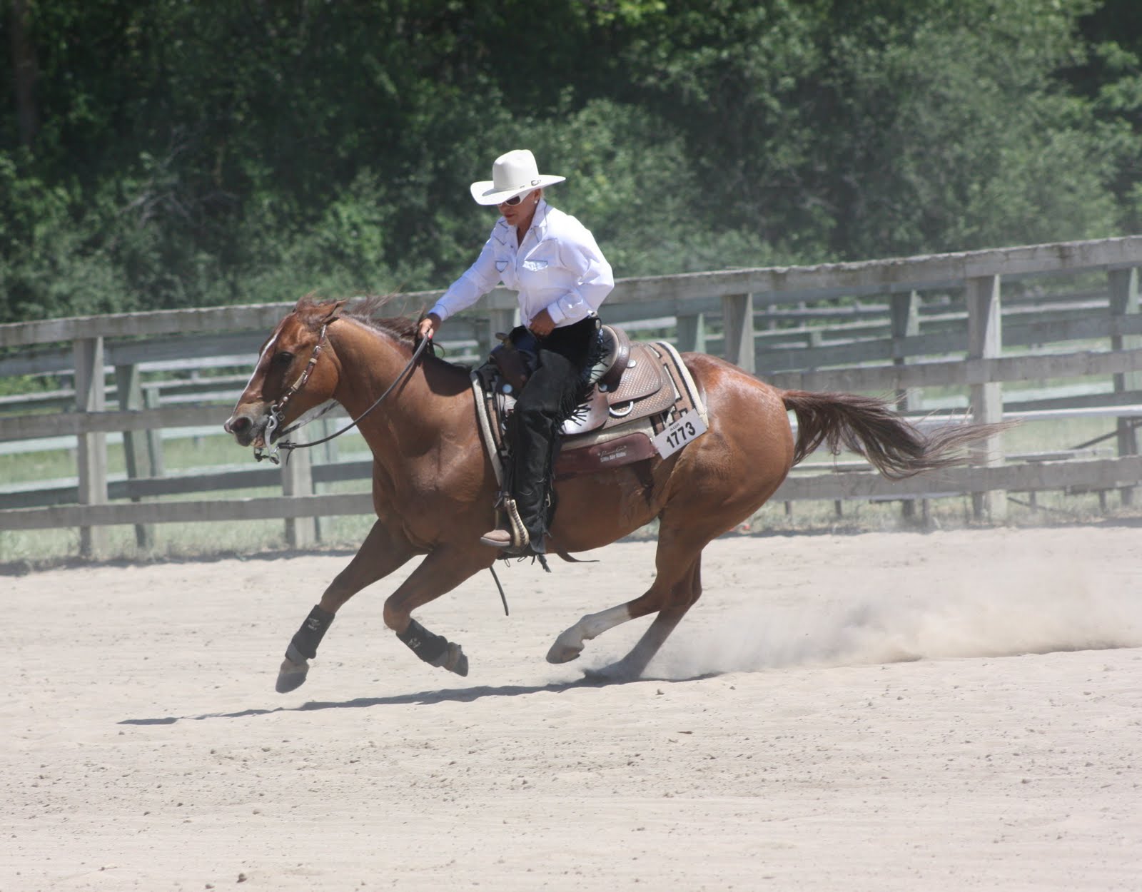 Thimbles, Bobbins, Paper and Ink: Western Reining Competition - The ...