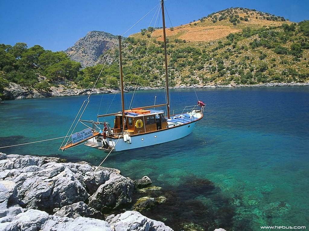 wallpaper zh: nature pic