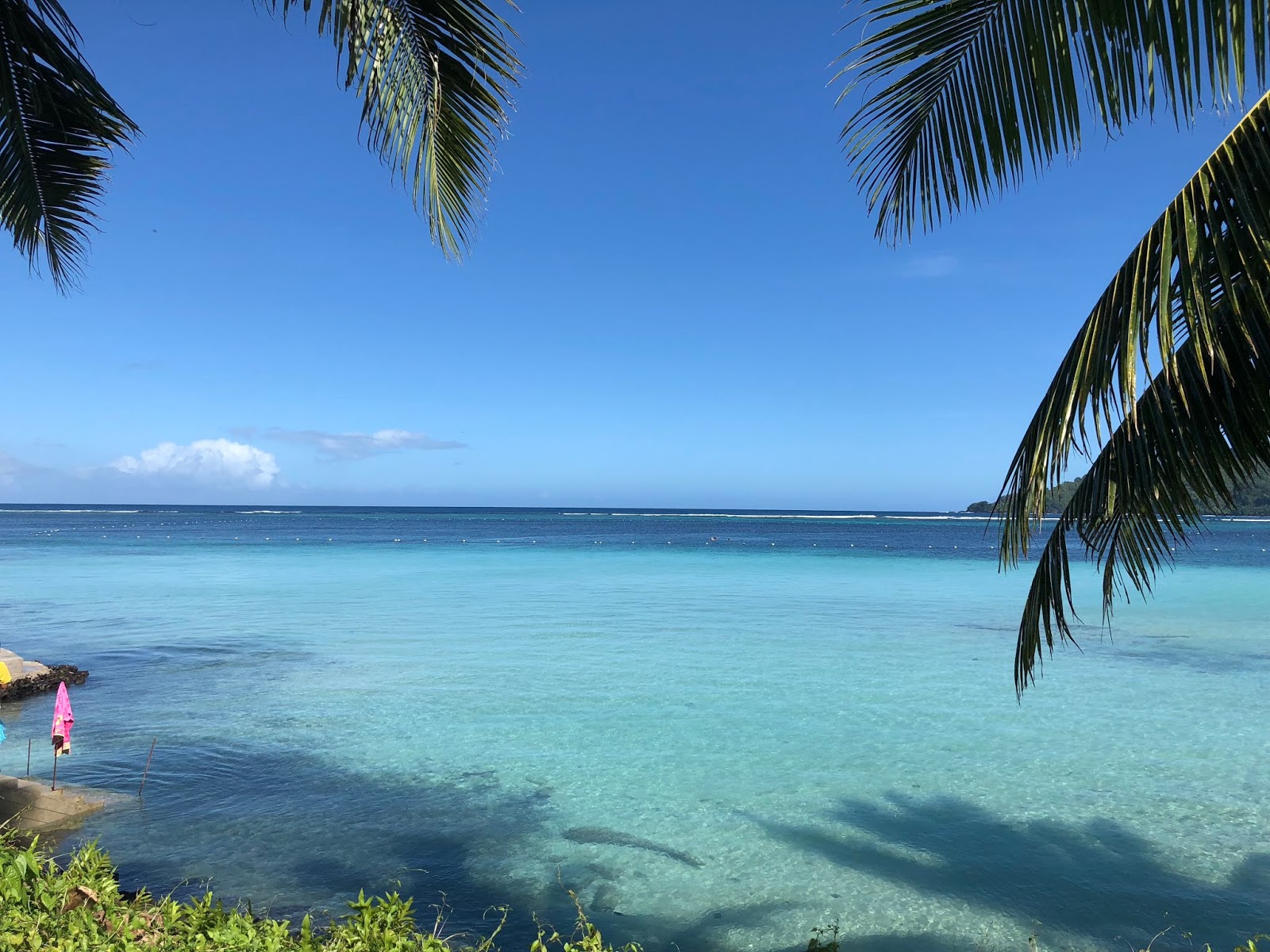 The Treasured Island: Samoa | Perkara Perlu Tahu Sebelum Korang Pergi ...