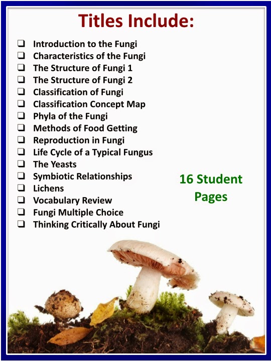 Amy Brown Science: Teaching Fungi? Interactive Notebook Pages and Warm ...