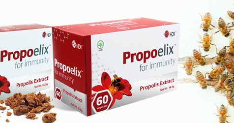 HDI Propoelix | Madu Asli - High Desert