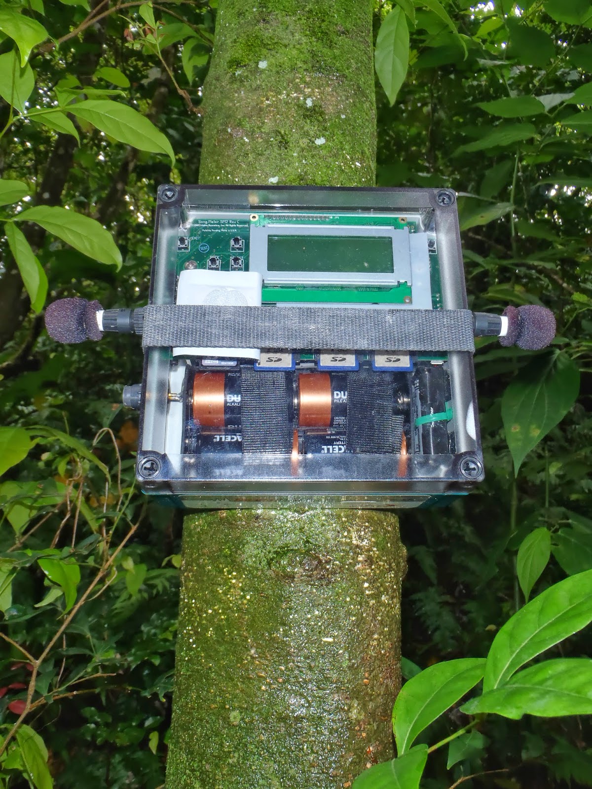 Jeff - I'm a conservationist, send the money here!