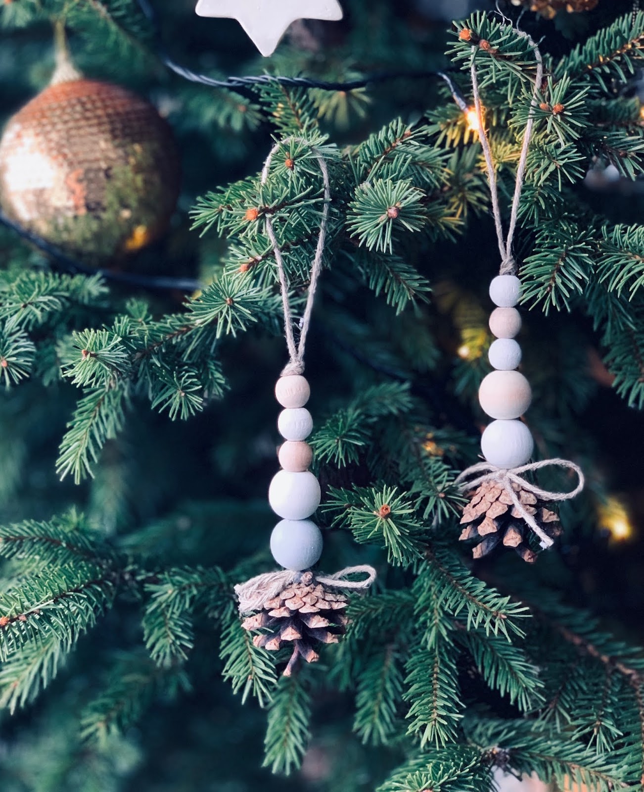 Kaksteist kuud: Käbiga kuuseehe