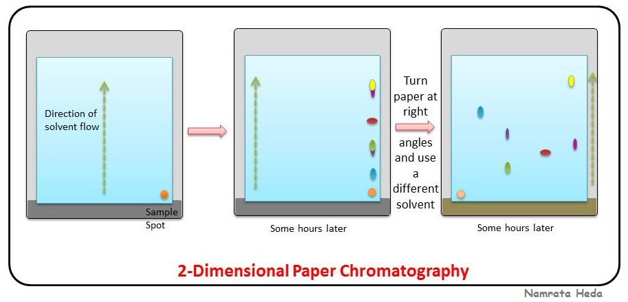 B for Biology: Chromatography - Paper Chromatography