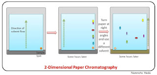 B for Biology: Chromatography - Paper Chromatography