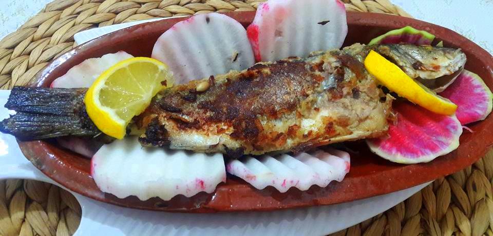 TAHİN SOSLU FIRINDA LEVREK (“Tajin Samak Bi Tahina”) | GÜLO ANNE MUTFAKTA