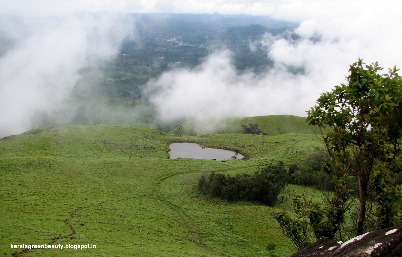 Wayanad- Green paradise of Kerala ~ Kerala Green Beauty