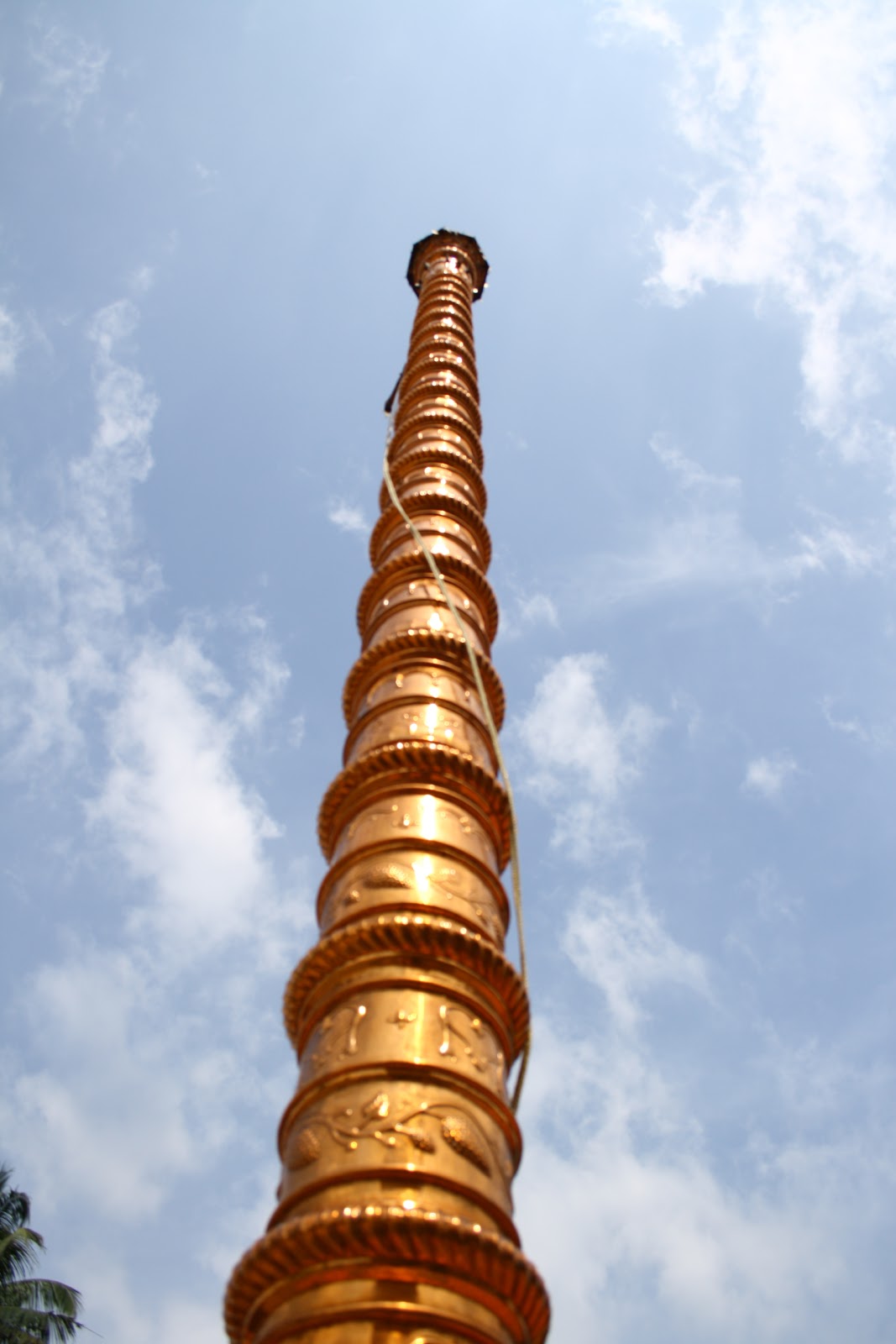 Meena's Space: The KodiMaram has a Story to Tell tooo......