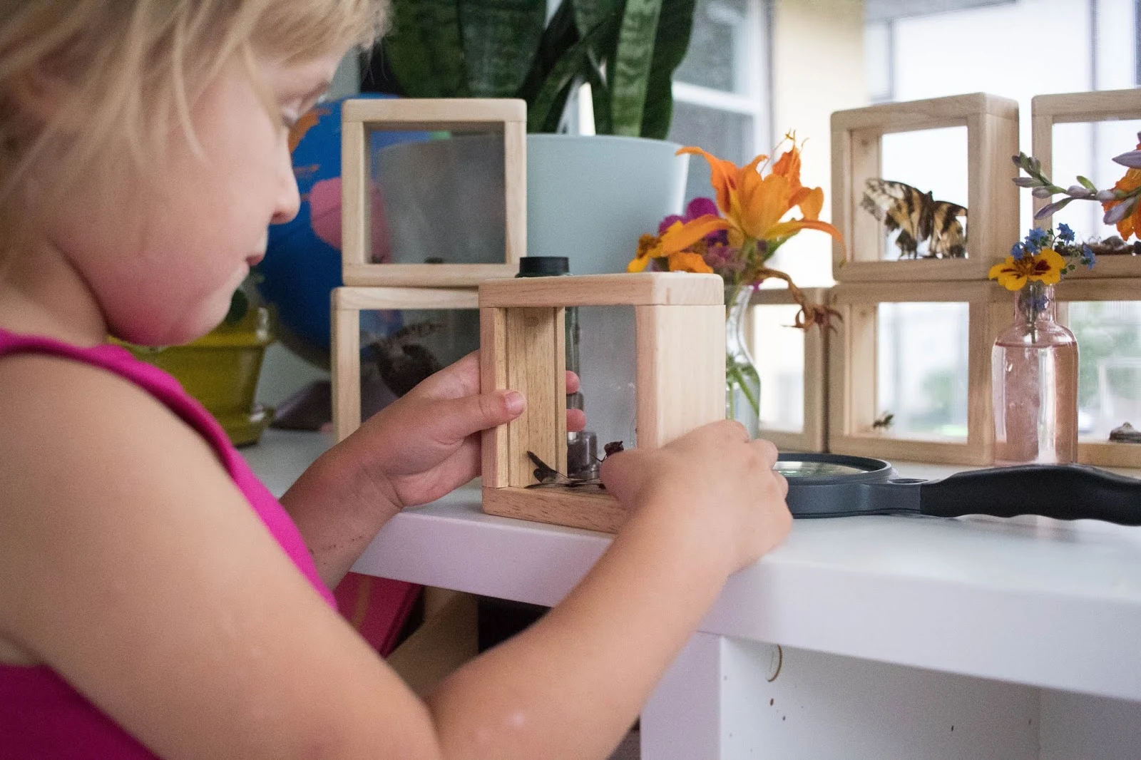 Summer Nature Collections in Our Montessori Home